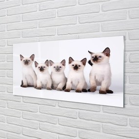 akrylový obraz malé kočky 100x50 cm