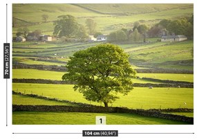 Fototapeta Anglie Derbyshire 104x70