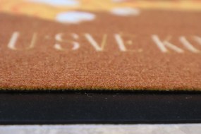 Mercury Flooring, Rohožka Bydlíme u své kočky 40x60 cm, 40x60, oranžová