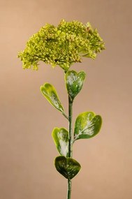 Paramit FULL BLOOM SEDUM Aranžovací květina zelená 46 cm