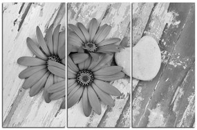 Obraz na plátně - Květy a kamenné srdce 183QB (135x90 cm)