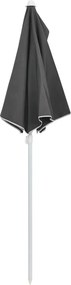 Zahradní půlkruhový slunečník s tyčí 180 x 90 cm antracitový 315561