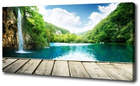 Wallmuralia Foto obraz na plátně Vodopád v lese 100x50