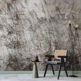 Fototapeta Boho trávy - rostlinný motiv v šedé na pozadí s texturou betonu