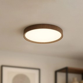 Stropní LED svítidlo Forest, 1x LED 24w, 4000k, (fi 39cm), imitace dřeva