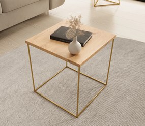 ADRK Furniture Konferenční stolek Adina CT-ADI-G-OL