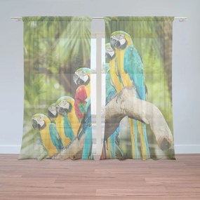 Sablio Záclony Papoušci na větvi: 2ks 150x250cm