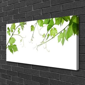 Obraz na plátně Větve Listy Příroda Květiny 100x50 cm