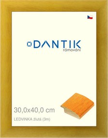 DANTIK rámeček 30x40 | LEDVINKA žlutá (Plexi Čiré)