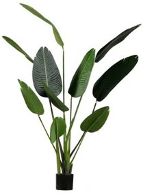 Strelitzia umělá rostlina 164cm