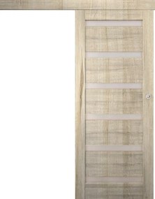 posuvné interiérové dveře na stěnu vasco doors EVORA model 5 Průchozí rozměr: 70 x 197 cm, Orientace dveří: Levé dveře, Dekor: Bílá