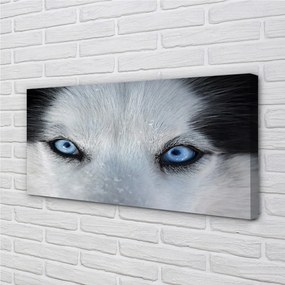 Obrazy na plátně wolf Eyes 125x50 cm