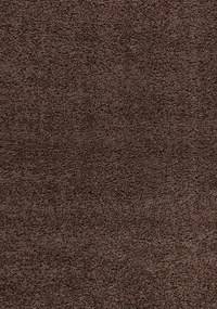 Ayyildiz koberce Kusový koberec Dream Shaggy 4000 brown ROZMĚR: 160x230