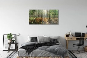 akrylový obraz Les bříza 125x50 cm
