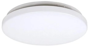 Rabalux 3338 - LED Stropní svítidlo ROB 1xLED/20W/230V