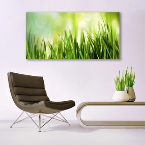akrylový obraz Tráva Příroda 120x60 cm