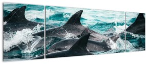 Obraz - Delfíni v oceáně (170x50 cm)