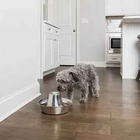 PetSafe Seaside nerezová / Fontánka / 1.8 L