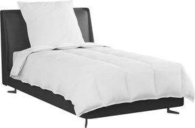 2-in-1 Duvet s polštářem 2 ks Bílá Peří 3376361