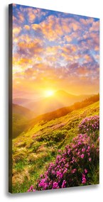 Wallmuralia Vertikální Foto obraz na plátně Západ slunce hory 50x100