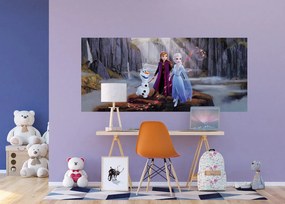 Dětská vliesová fototapeta na zed' Ledové království Rybník, Disney | 202 x 90 cm | DFTDNH 5386
