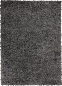 DOPREDAJ: 60x110 cm Kusový koberec Brilliance Sparks Anthracite, 60x110, šedá, obývacia izba, Flair Rugs