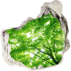 Wallmuralia Samolepící nálepka fototapeta Zelený les 75x75 cm