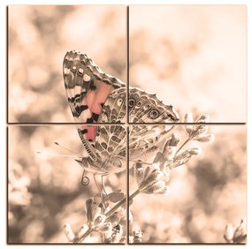 Obraz na plátně - Motýl na levandule - čtverec 3221FE (60x60 cm)
