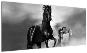 Černobílý obraz koňů (100x40cm)