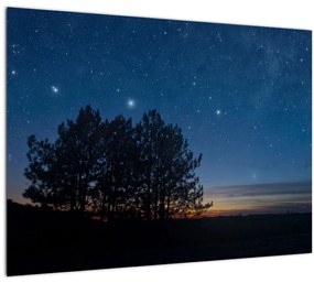 Skleněný obraz stromů v noci (70x50 cm)