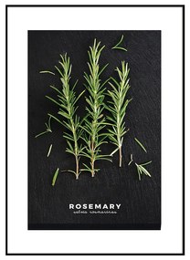Obraz Artbox 50x70 AB181 Rosemary OB-14443