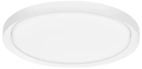 LED stropní svítidlo Troy 46 bílé