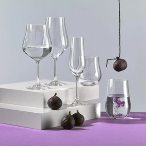 Crystalex sklenice na víno Tulipa 450 ml 6 ks