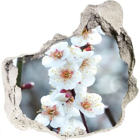 Wallmuralia Samolepící nálepka fototapeta Květy višně 75x75 cm