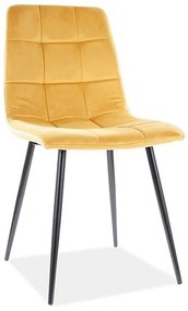 Casarredo - Komfort nábytek Jídelní židle MAJA VELVET žlutá curry/černý kov