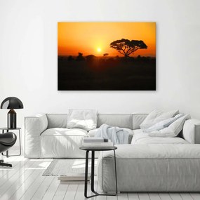 Obraz na plátně Afrika Strom západ slunce - 100x70 cm