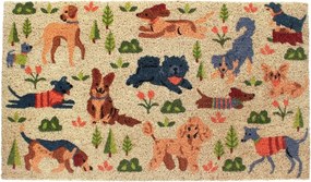 Rohožka z kokosového vlákna 73x43 cm Dog Park – Rex London
