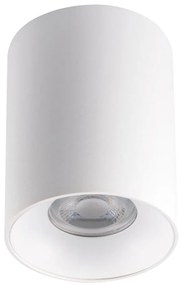 Kanlux | Kanlux 27569 - LED Stropní svítidlo RITI 1xGU10/25W/230V bílá | KX0353