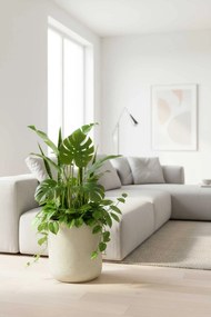 Kulatý květináč CHICO, sklolaminát, průměr 45 x výška 50 cm, krémový