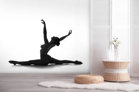 Malvis ® Tapeta Silueta baletky Vel. (šířka x výška): 360 x 260 cm