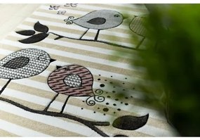 koberec PETIT PTÁCI, krémový velikost 160x220 cm | krásné koberce cz
