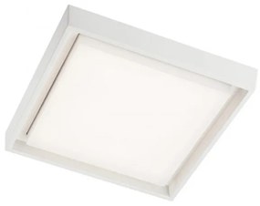 BAZEL-PL-LED 30W, IP54 - 9189