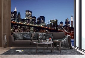 Fototapeta na zed' Výhled na Brooklynský Most | 360 x 254 cm | DFTS0107