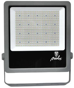 LED Venkovní reflektor PROFI PLUS LED/300W/230V 5000K IP66