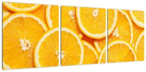 Plátky pomerančů - obraz