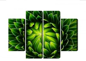 Vícedílný obraz Zelená Rostlina V Makro Měřítku Nedostatek Nedostatek Plátno Canvas 120x90