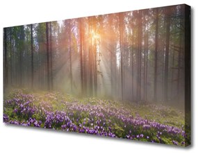 Obraz na plátně Les Květiny Rostlina Příroda 140x70 cm