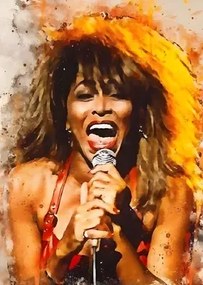 NORIMPEX Malování podle čísel Tina Turner zpívá / 40x50 cm