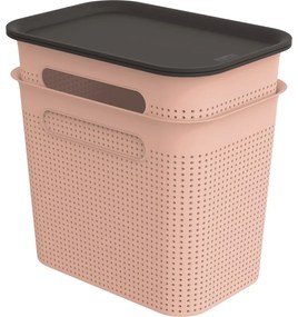 Světle růžové plastové úložné boxy s víkem v sadě 2 ks 18,5x27x26 cm Brisen – Rotho