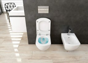 Deante Anemon, závěsný bidet 52 x 37 cm Rimfree, bílá, CDZ_6BPW